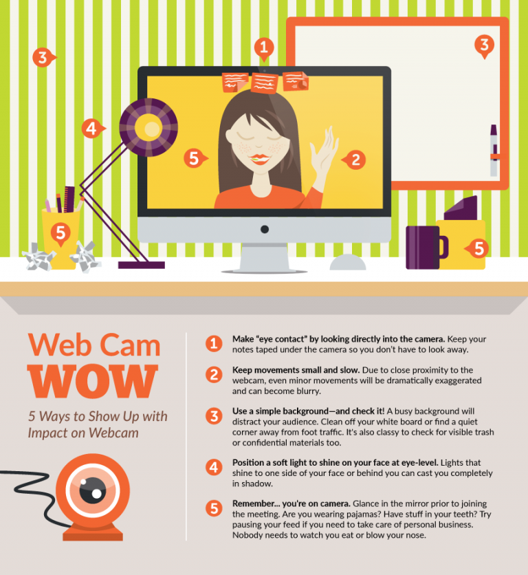 INFOGRAPHIC RESOURCE: Web Cam WOW | Ariel Group